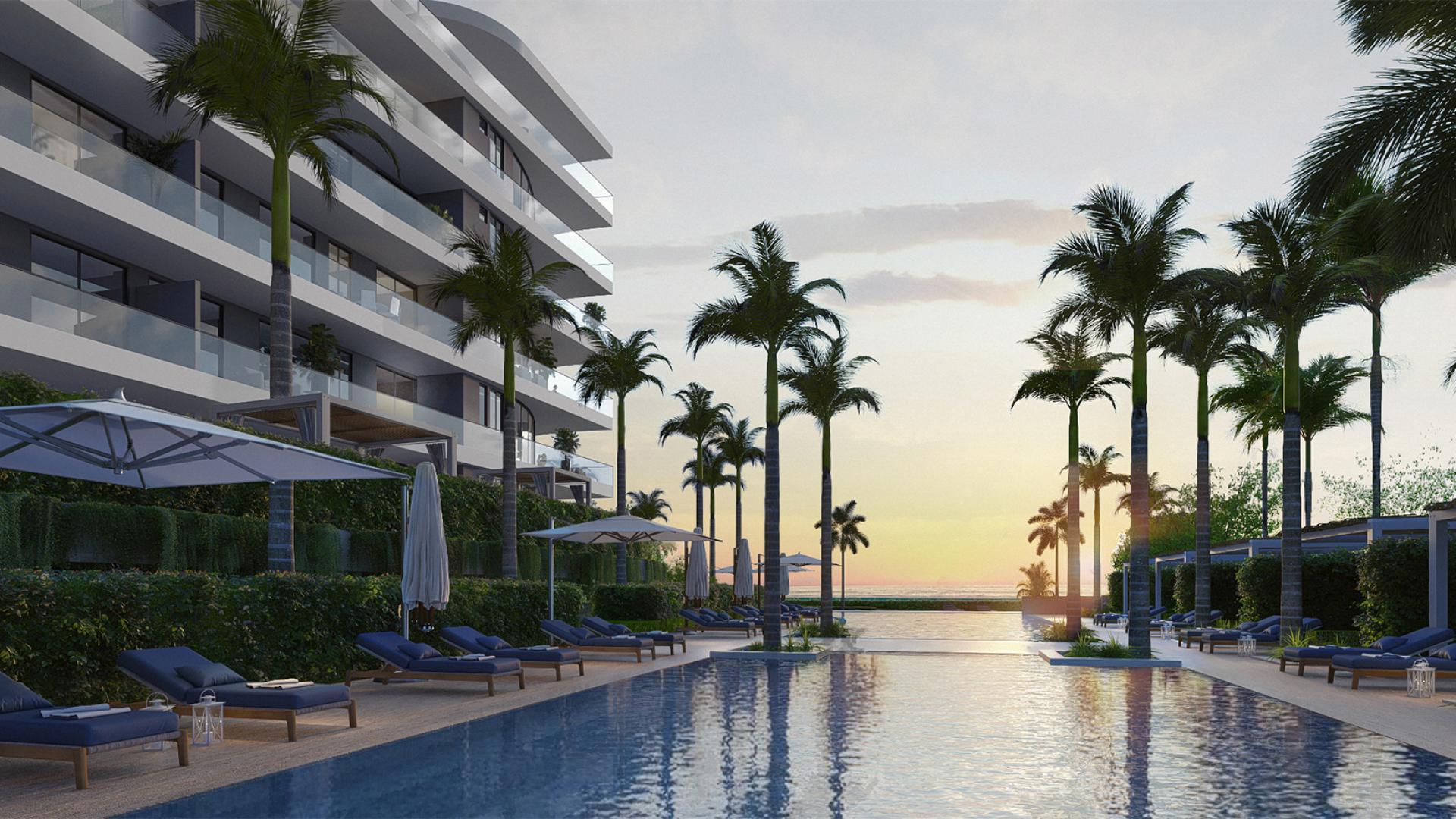 Prelanzamiento | morros aura